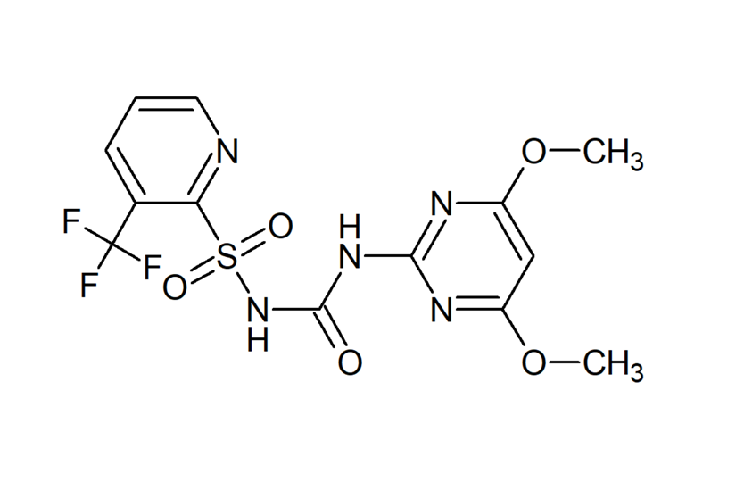 Flazasulfuron-India Fine Chemicals