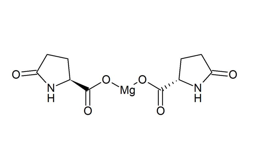 Magnesium pidolate-India Fine Chemicals